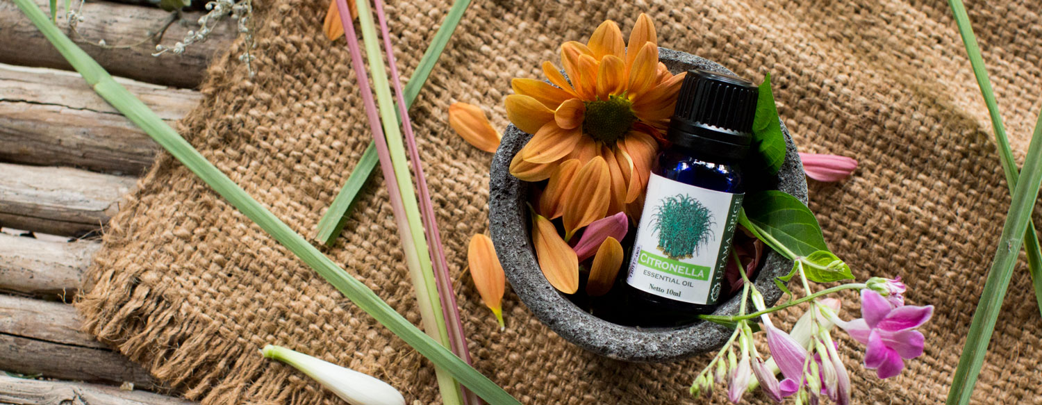 The Many Uses Of Citronella Essential Oil - Utama Spice