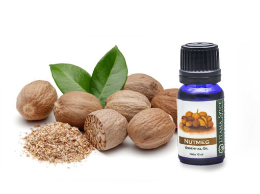 Nutmeg Essential Oil: Our 4 Best Benefits